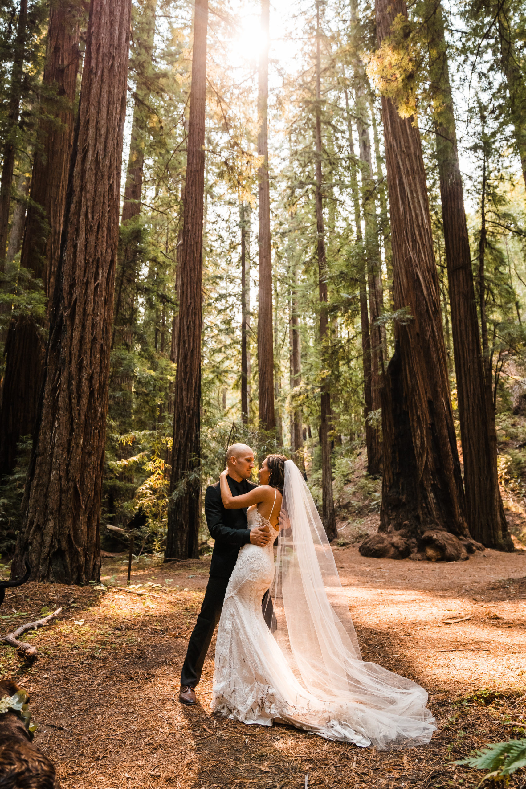 Redwood Forest Elopement & Ocean Cliffside Wedding | Sydney and Ryan